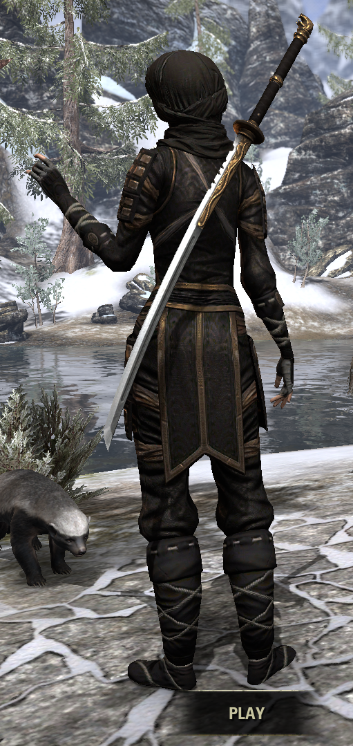 ESO Fashion | Nibenese Ninja [NA] (Elder Scrolls Online)