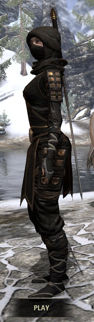 ESO Fashion | Nibenese Ninja [NA] (Elder Scrolls Online)