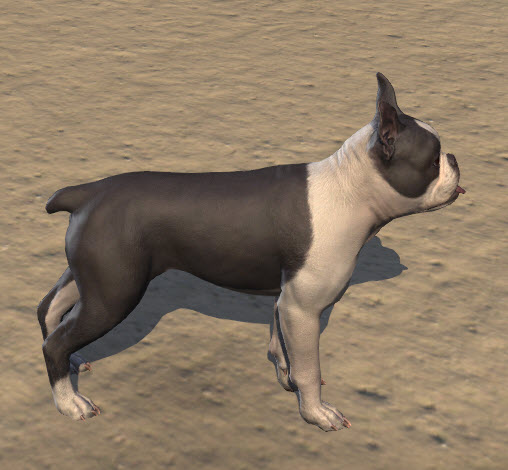 ESO Fashion | Breton Terrier (Elder Scrolls Online)