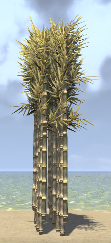 ESO Fashion | Moon-Sugar, Row (Elder Scrolls Online)