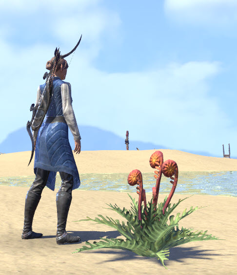 ESO Fashion | Plant, Spore Pod (Elder Scrolls Online)