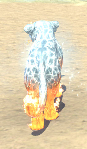 ESO Fashion | Sunspire Ice-Fire Senche-Cub (Elder Scrolls Online)
