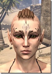 ESO Fashion | Tenmar Leopard Face Marks (Elder Scrolls Online)