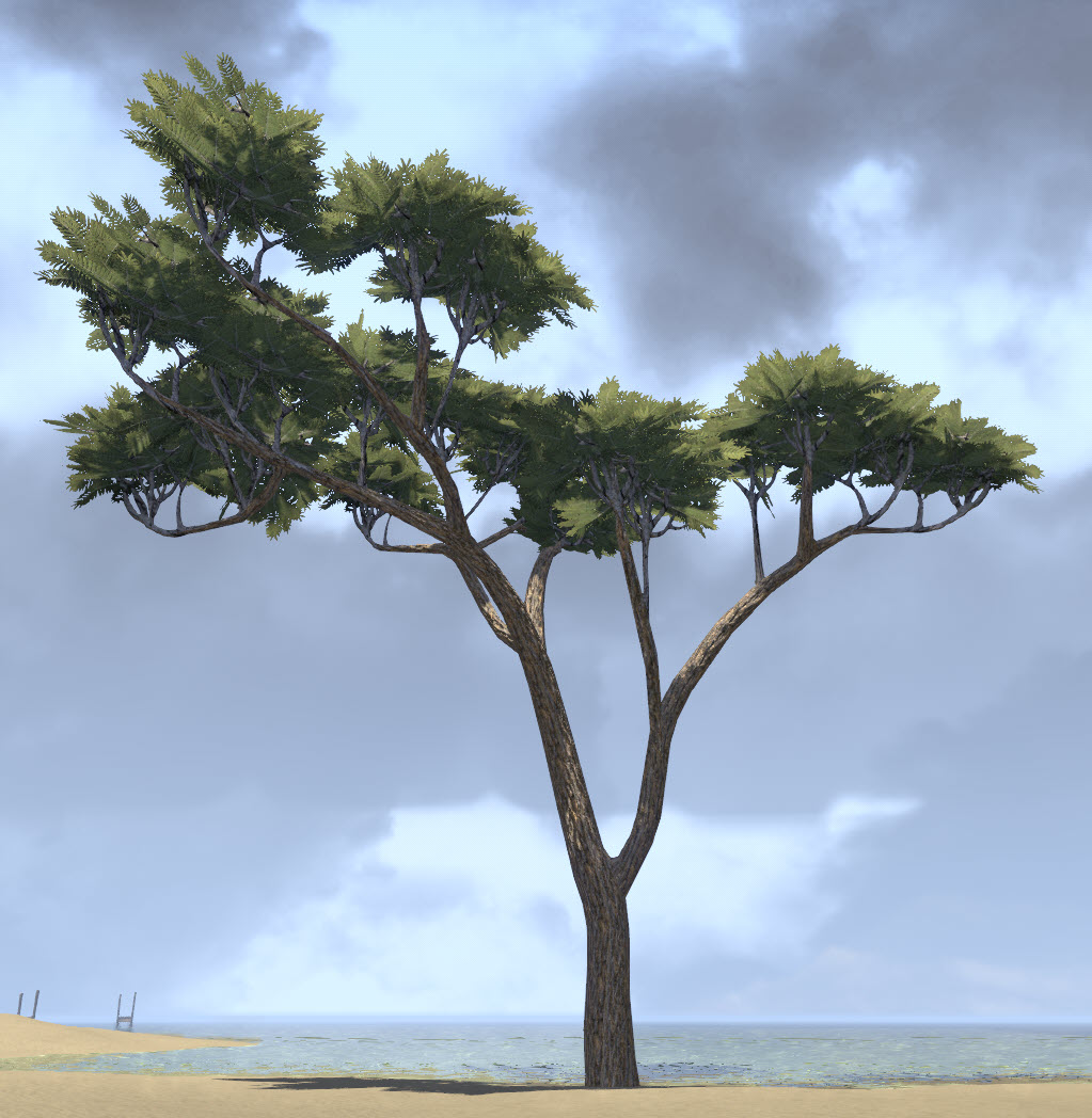 ESO Fashion | Tree, Anequine Acacia Arching (Elder Scrolls Online)