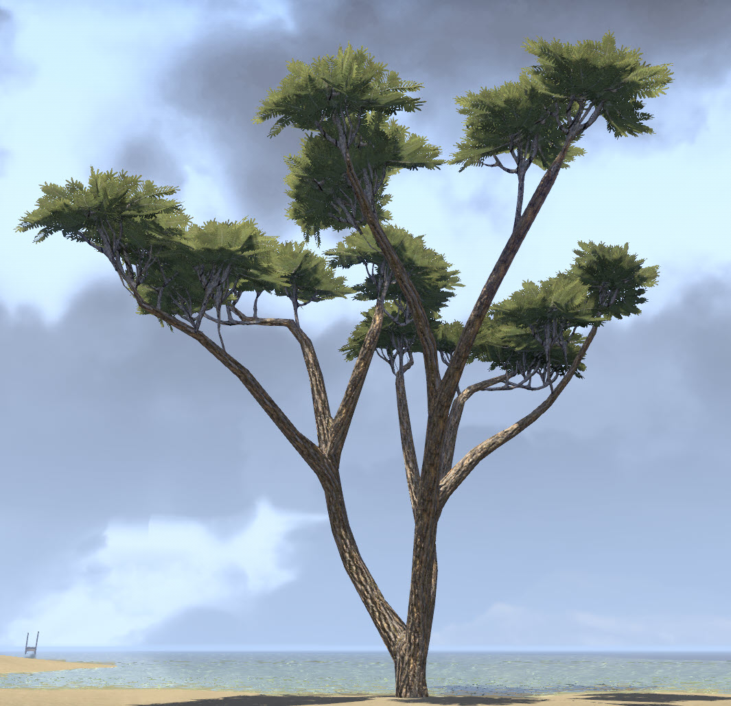 ESO Fashion | Tree, Anequine Acacia Forking (Elder Scrolls Online)
