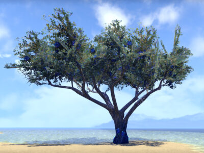 ESO Fashion | Tree, Azureblight Acacia (Elder Scrolls Online)