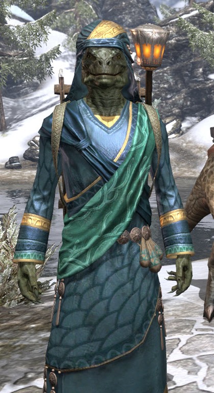 ESO Fashion | Traveling Merchant (Elder Scrolls Online)