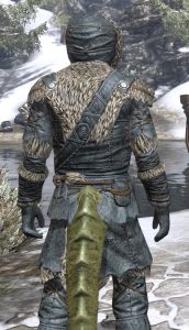 ESO Fashion | Skaal Explorer (Elder Scrolls Online)