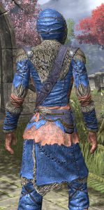ESO Fashion | Skaal Explorer (Elder Scrolls Online)