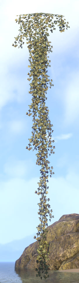 ESO Fashion | Vines, Verdant Ivy Climber (Elder Scrolls Online)