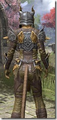 ESO Fashion | Ancient Dragon Hunter (Elder Scrolls Online)