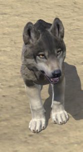 ESO Fashion | Boralis Gray Wolf Pup (Elder Scrolls Online)