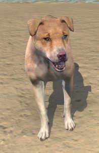 ESO Fashion | Senchal Harbor-Mutt (Elder Scrolls Online)