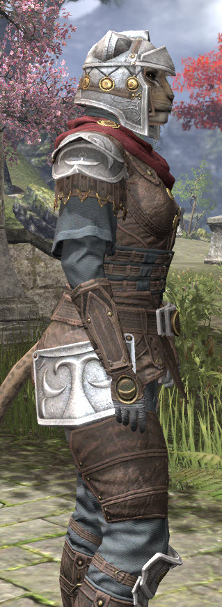 ESO Fashion | Shield of Senchal Rawhide (Elder Scrolls Online)