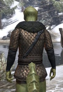 ESO Fashion | Windhelm Scale (Elder Scrolls Online)