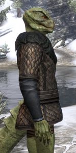 ESO Fashion | Windhelm Scale (Elder Scrolls Online)