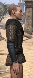 ESO Fashion | Windhelm Scale (Elder Scrolls Online)