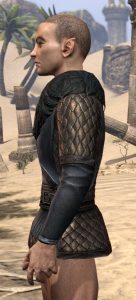 ESO Fashion | Windhelm Scale (Elder Scrolls Online)