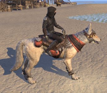 ESO Fashion | Pyre Watch Jackal (Elder Scrolls Online)