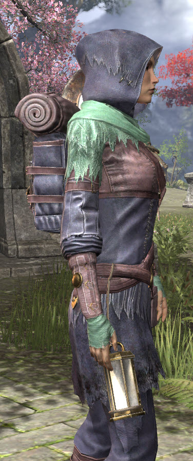 ESO Fashion | Graverobber (Elder Scrolls Online)