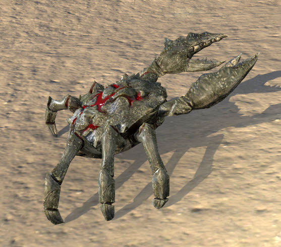 ESO Fashion | Mudcrab of Eternal Doom (Elder Scrolls Online)