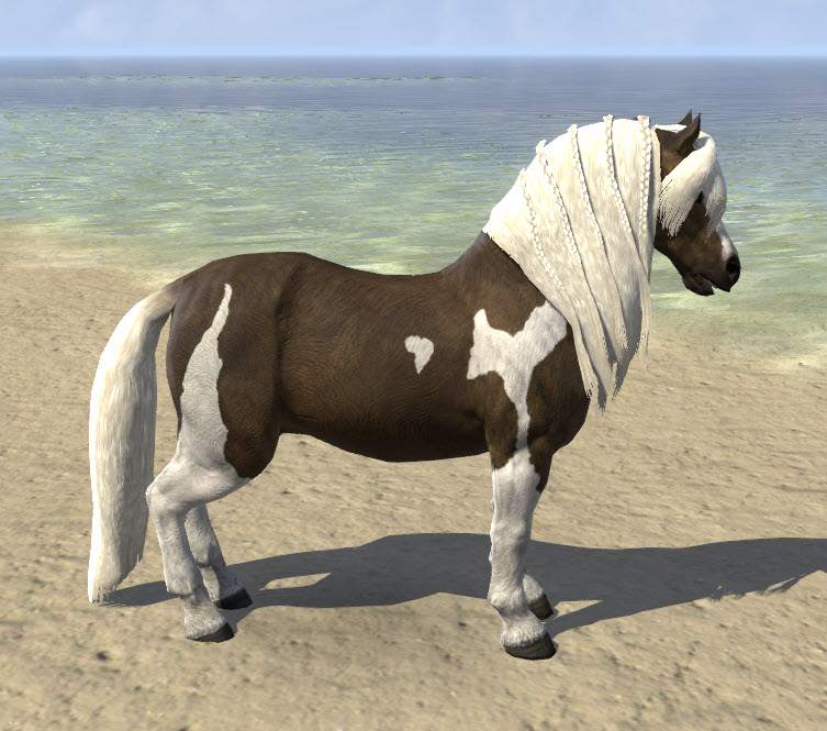 ESO Fashion | Scruffy Skyrim Paint Pony (Elder Scrolls Online)