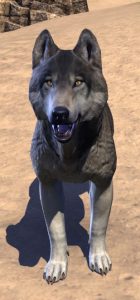 ESO Fashion | Solitude Silver Wolf (Elder Scrolls Online)