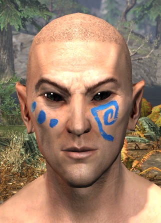 ESO Fashion | Ysgramor’s Chosen Face Marking (Elder Scrolls Online)