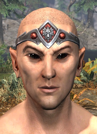 ESO Fashion | Wolfcrown of Solitude (Elder Scrolls Online)