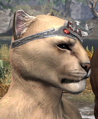 ESO Fashion | Wolfcrown of Solitude (Elder Scrolls Online)