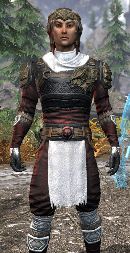 ESO Fashion | Winter's Respite (Elder Scrolls Online)