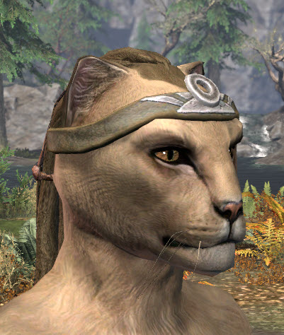 ESO Fashion | Jarl Crown (Elder Scrolls Online)