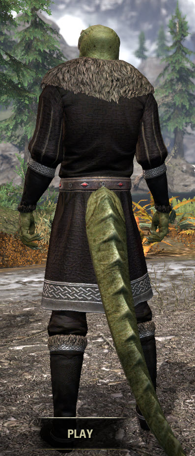 ESO Fashion | Jarl Finery (Elder Scrolls Online)