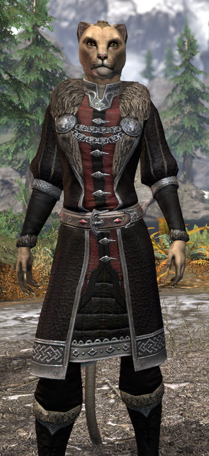 ESO Fashion | Jarl Finery (Elder Scrolls Online)