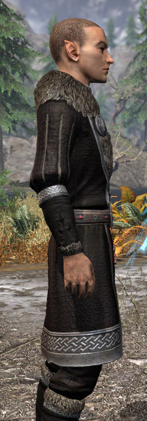 ESO Fashion | Jarl Finery (Elder Scrolls Online)