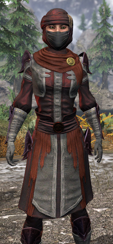 ESO Fashion | Pyre Watch Rubedo Leather (Elder Scrolls Online)