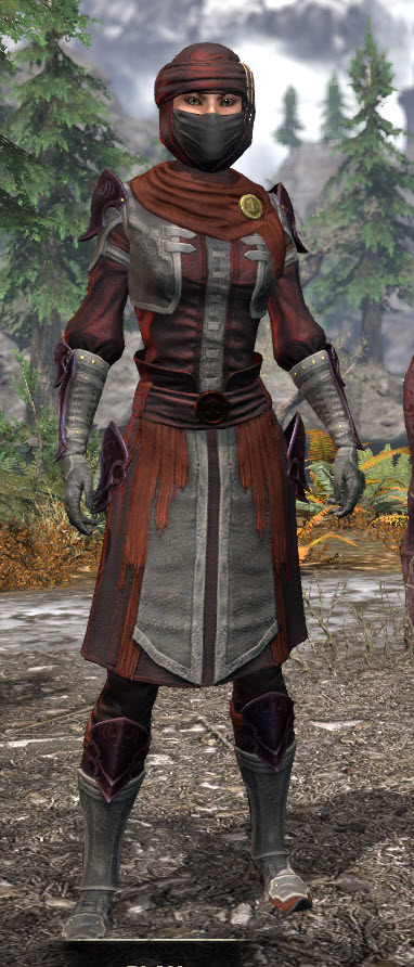 ESO Fashion | Pyre Watch Rubedo Leather (Elder Scrolls Online)