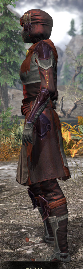 ESO Fashion | Pyre Watch Rubedo Leather (Elder Scrolls Online)