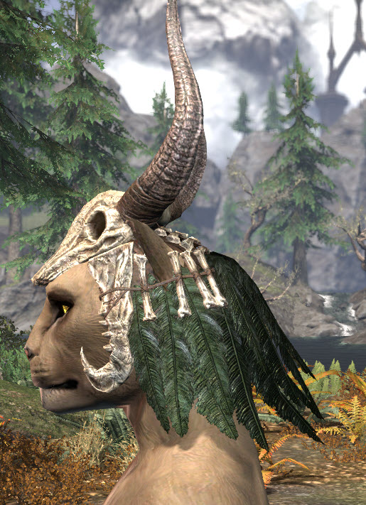 ESO Fashion | Reach-Mage Ceremonial Skullcap (Elder Scrolls Online)