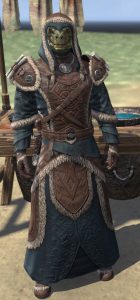ESO Fashion | Snowhawk (Elder Scrolls Online)