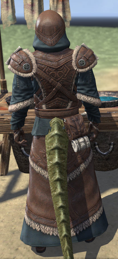 ESO Fashion | Snowhawk (Elder Scrolls Online)