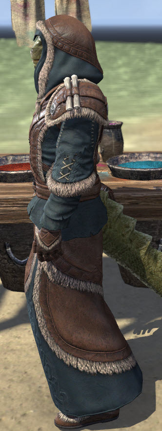 ESO Fashion | Snowhawk (Elder Scrolls Online)