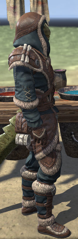 ESO Fashion | Snowhawk (Elder Scrolls Online)