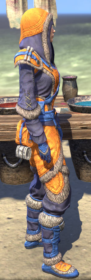 ESO Fashion | Snowhawk (Elder Scrolls Online)