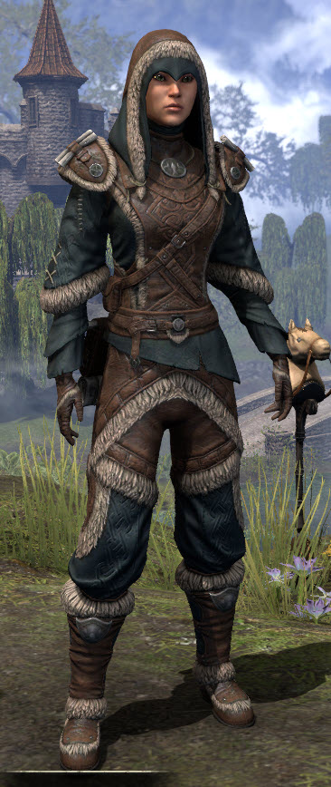ESO Fashion | Snowhawk (Elder Scrolls Online)
