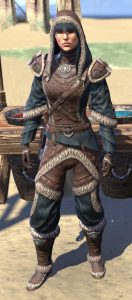 ESO Fashion | Snowhawk (Elder Scrolls Online)