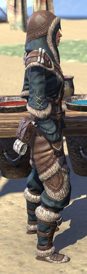 ESO Fashion | Snowhawk (Elder Scrolls Online)