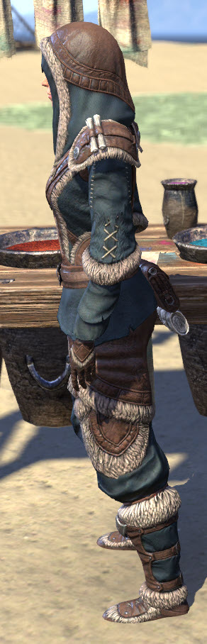 ESO Fashion | Snowhawk (Elder Scrolls Online)