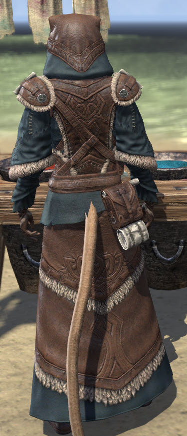 ESO Fashion | Snowhawk (Elder Scrolls Online)