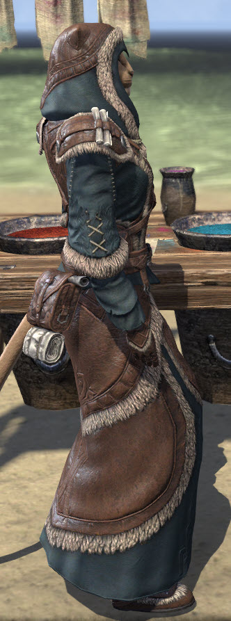 ESO Fashion | Snowhawk (Elder Scrolls Online)